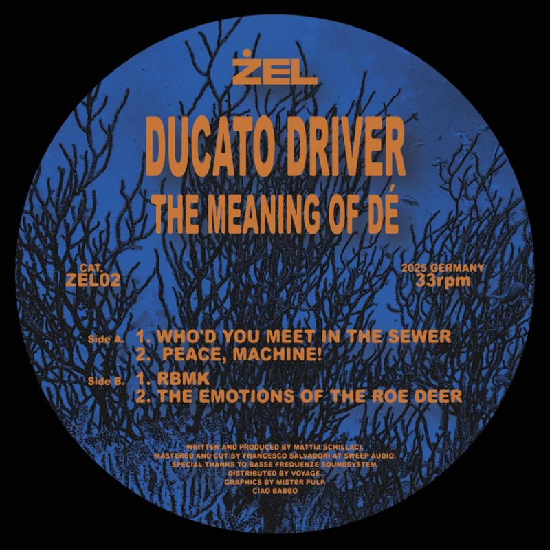 Ducato Driver - The Meaning Of Dè | trenta3giri.com Online Vinyl Shop